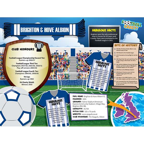 FOOTBALL CRAZY BRIGHTON AND HOVE ALBION 400 P | The Happy Puzzle Company