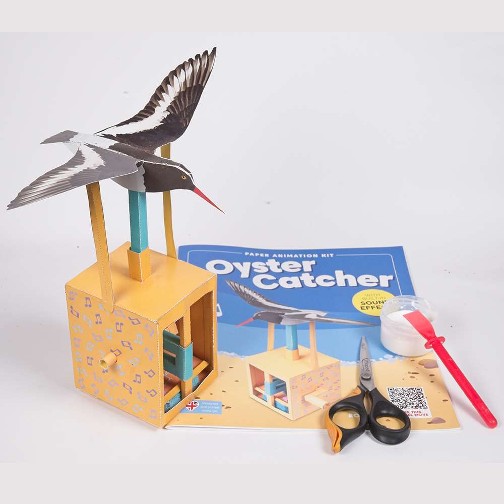 Oyster Catcher Puzzle Adventure Game By Go Made Me