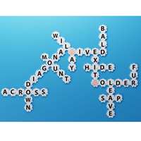 WordSnap XL Dynamic Word Puzzle Game — Happy Puzzle